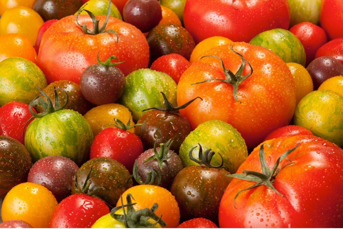 ¿Qué sabes de…? Te contamos 5 curiosidades sobre los tomates – El Blog ...