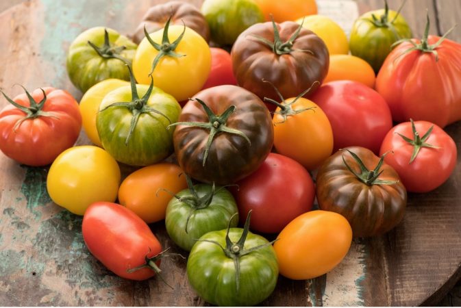 ¿Qué sabes de…? Te contamos 5 curiosidades sobre los tomates – El Blog ...