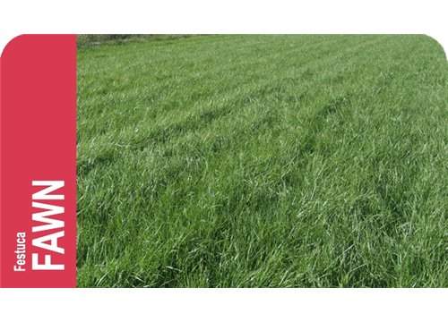 Forrajeras - Rocalba, S.A.