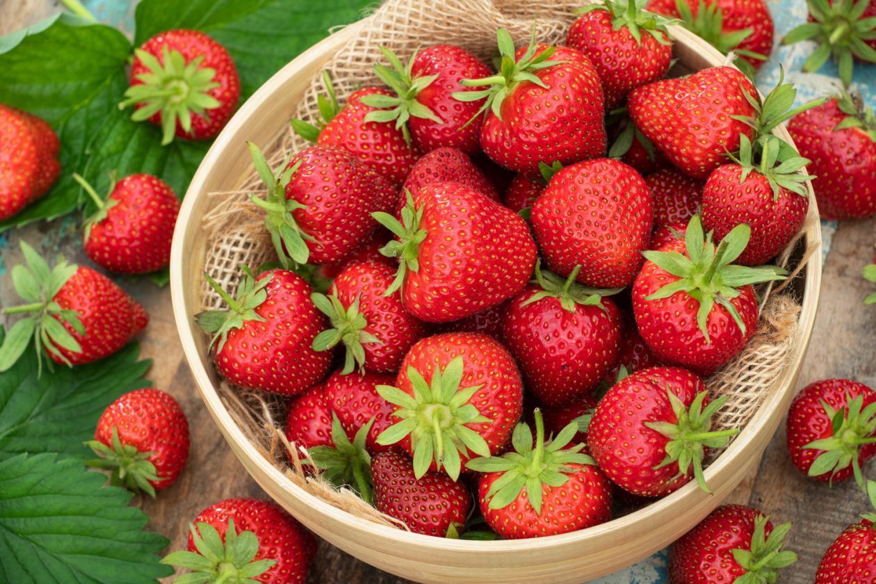 Cómo cultivar fresas con éxito – El Blog de Rocalba