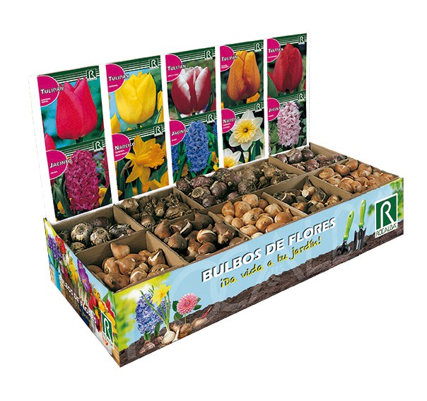 Cofres de bulbos de otoño - Rocalba, S.A.